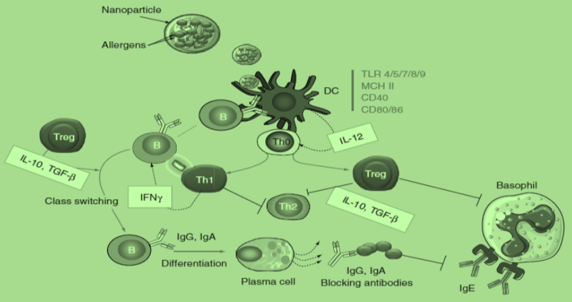 Applications of nanotechnology in allergy and asthma